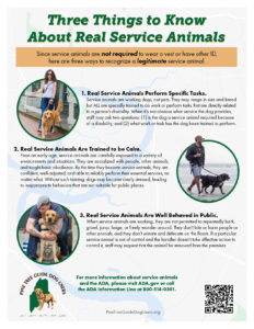 Flyer Description – Pine Tree Guide Dog Users